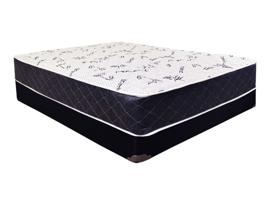 Basic Sleep Queen Mattress Set