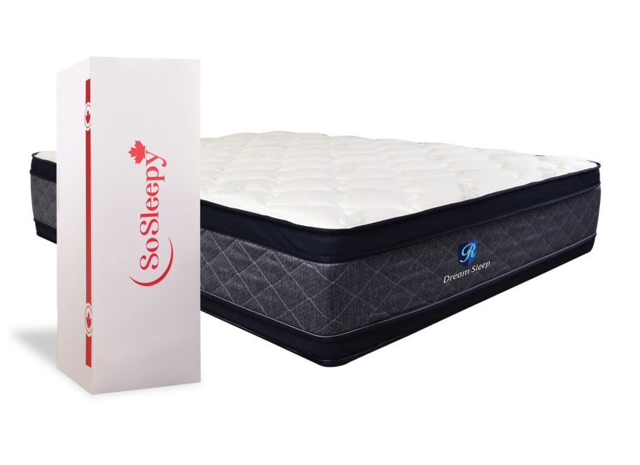 Dream Sleep Queen Mattress